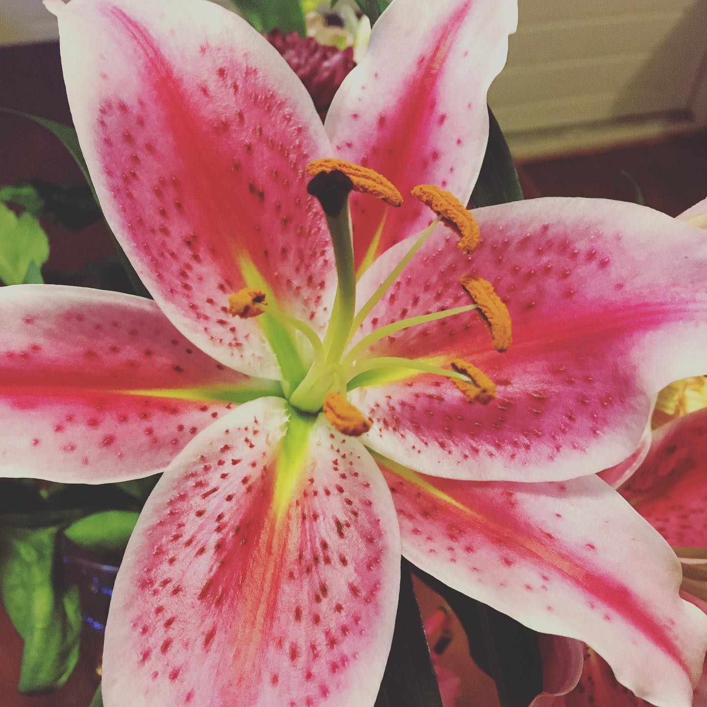 Wat hoor jij? - Fabrina Willemse