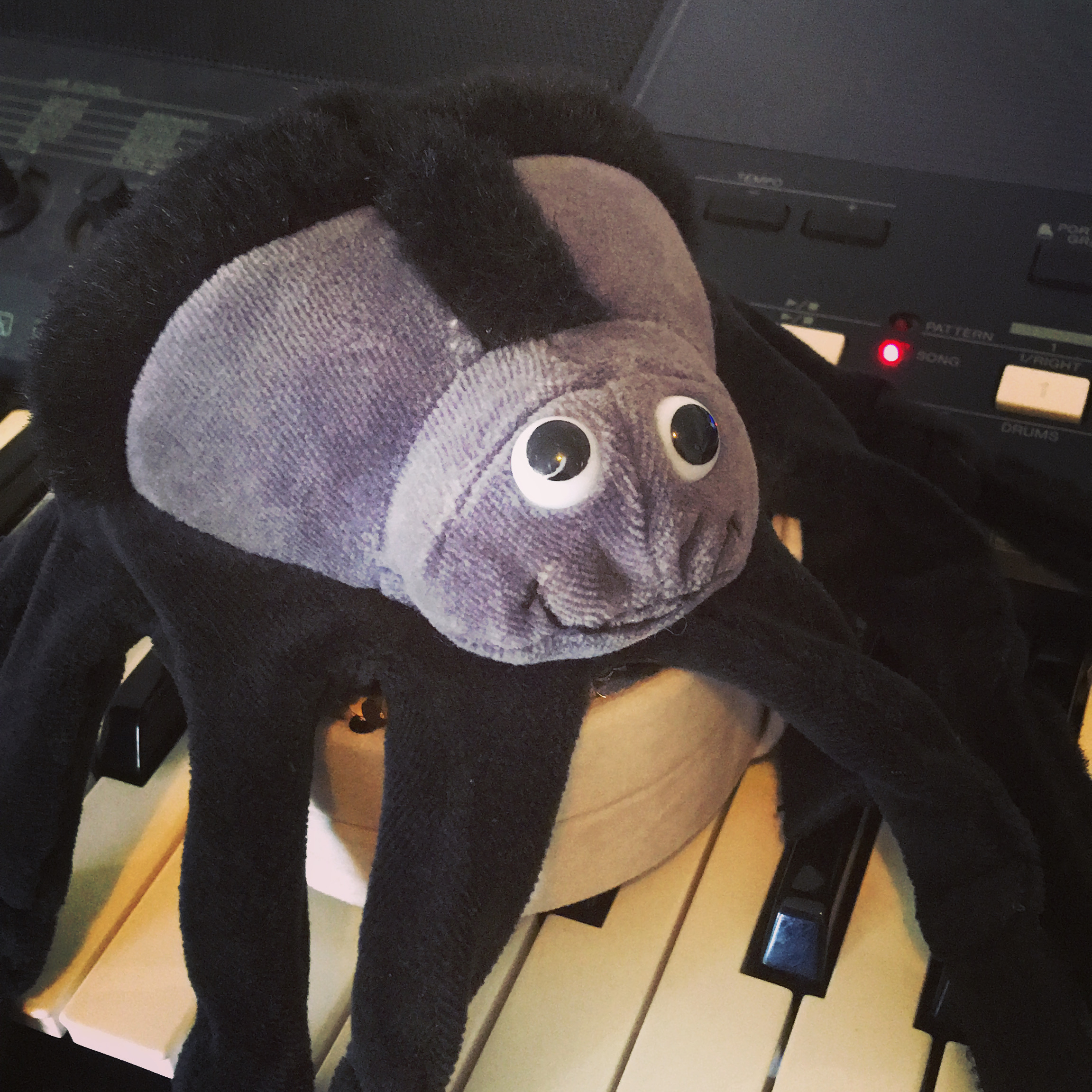 De spin die wilde vliegen - Fabrina Willemse